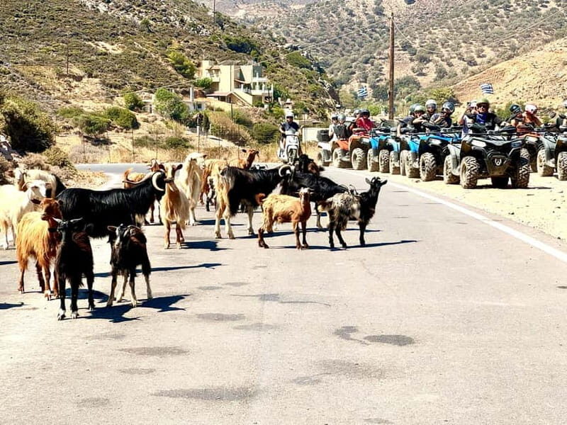 Ag. Pelagia Crete: Quad Safari to explore authentic villages - FAQs