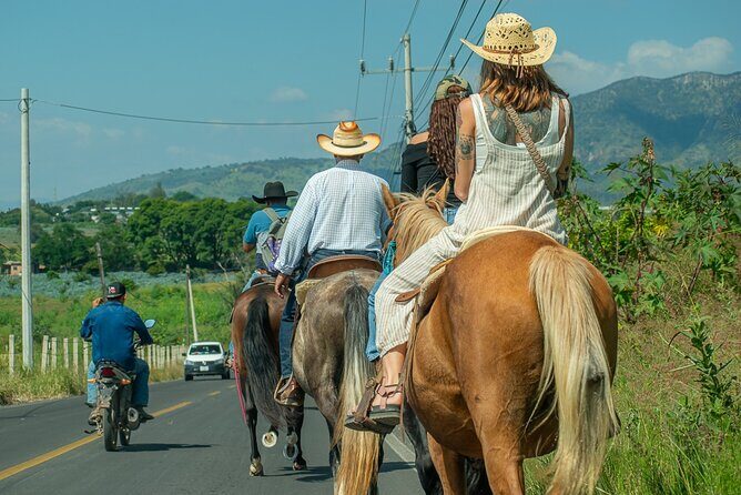 Agaves and Tequila Horseback Ride in El Arenal Jalisco - FAQ