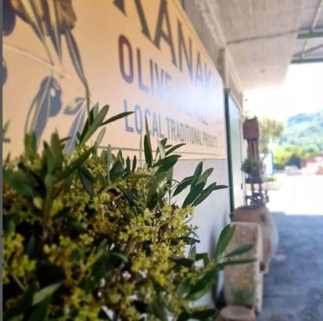 Agia Marina - Chania - visit to an oil mill and organic winery - Who Will Love This Tour?