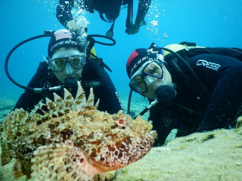 Agia Pelagia: Introduction to Scuba Diving (2 Dives) - Why This Experience Stands Out