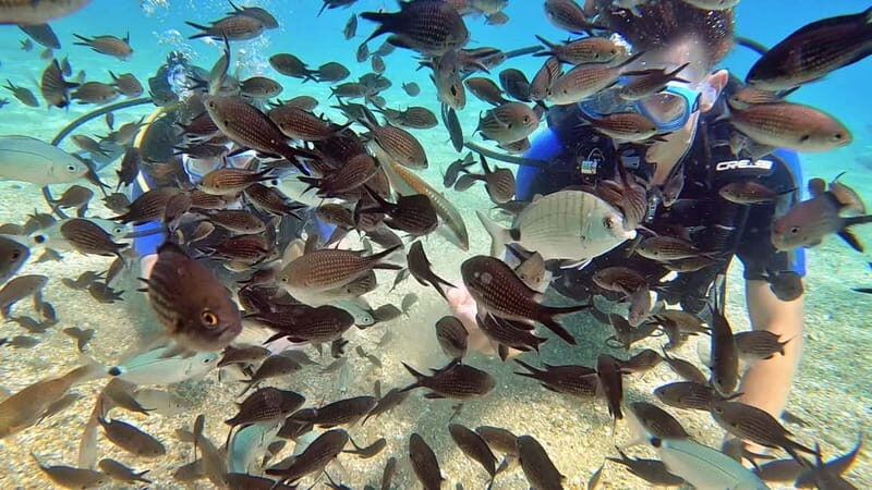 Agia Pelagia: PADI Open Water Diver International Course - The Local Dive Site Experience