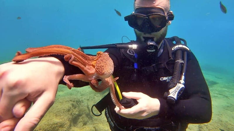 Agia Pelagia: PADI Open Water Diver International Course - Practicalities and Tips