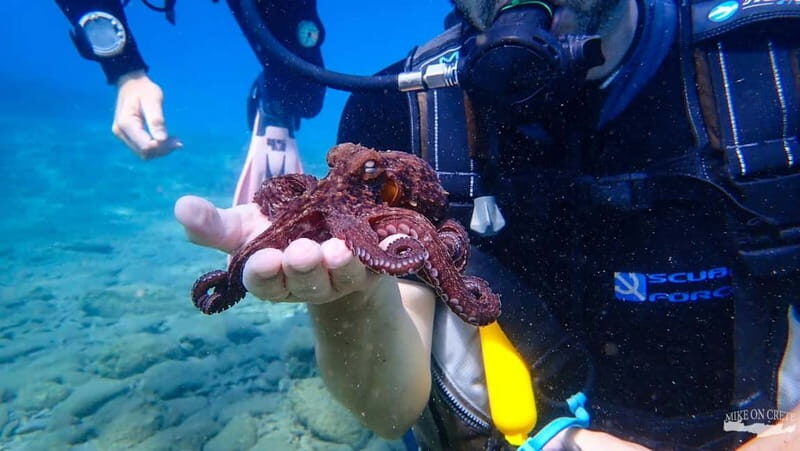 Agia Pelagia: Scuba Diving Activity for Children - Analyzing the Value and Experience