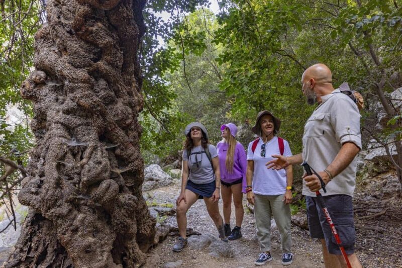 Agios Nikolaos: Evening Forest Yoga and Hiking Experience - FAQ