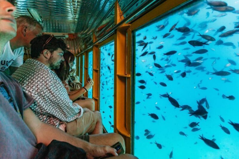 Agios Nikolaos: Semi-Submarine Cruise - Summary - Who Will Love This?