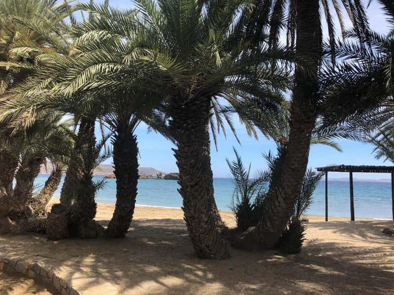 Agios Nikolaos: Vai Palm Beach, Toplu Monastery, East Coast - The Itinerary in Detail