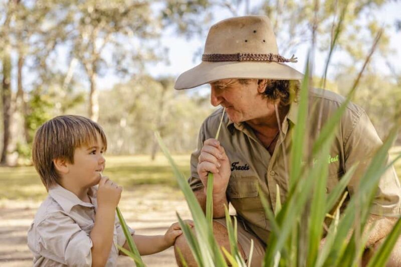Agnes Water: BushTracks Eco Tour with local guide - Key Points