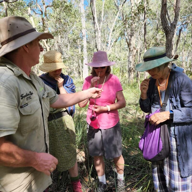 Agnes Water: BushTracks Eco Tour with local guide - Practical Details and Value