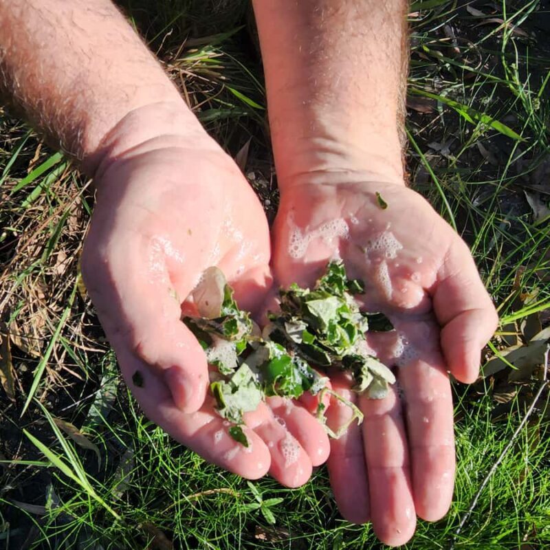 Agnes Water: BushTracks Eco Tour with local guide - The Sum Up