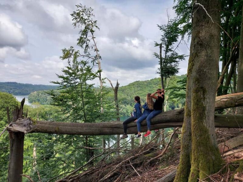 agów Landscape Park Horseriding Tour - The Itinerary: What to Expect from Your 2-Hour Ride