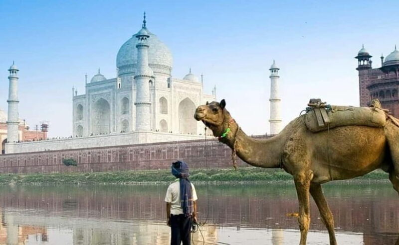 Agra: 3-Hour Private Guided Walking Tour of the Taj Mahal - Authenticity and Practicalities
