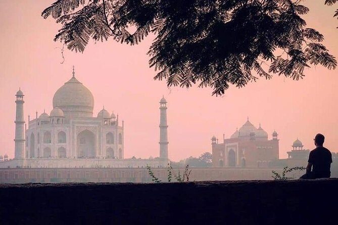 Agra Full Day Taj Mahal at Sunrise With Agra Fort & Itimad-ud-Daulah From Delhi - The Full Itinerary Breakdown