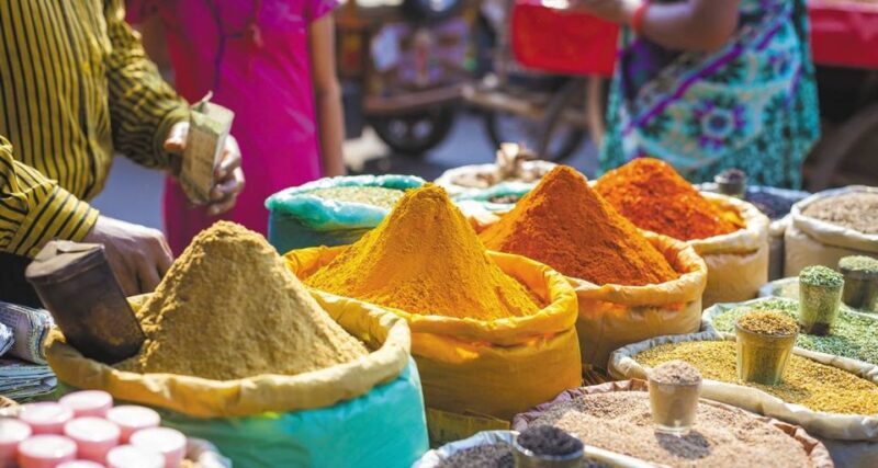 Agra: Indian Food Private Cooking Class - Final Thoughts: Who Is This Tour For?