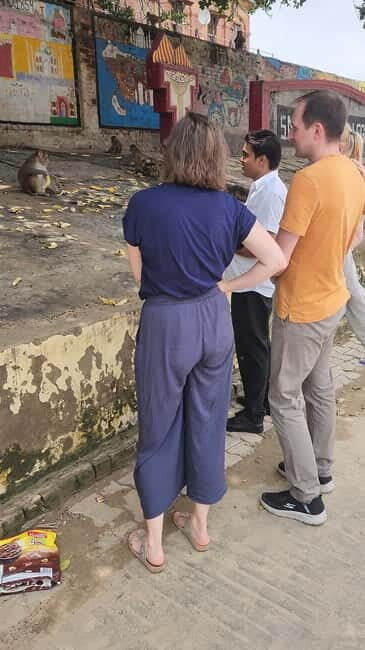 Agra: Monkey Safari Guided Walking Tour - Final Thoughts: Is it for You?