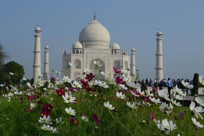 Agra on My Plate along with Taj Mahal Sunrise Tour - The Food & Cultural Value