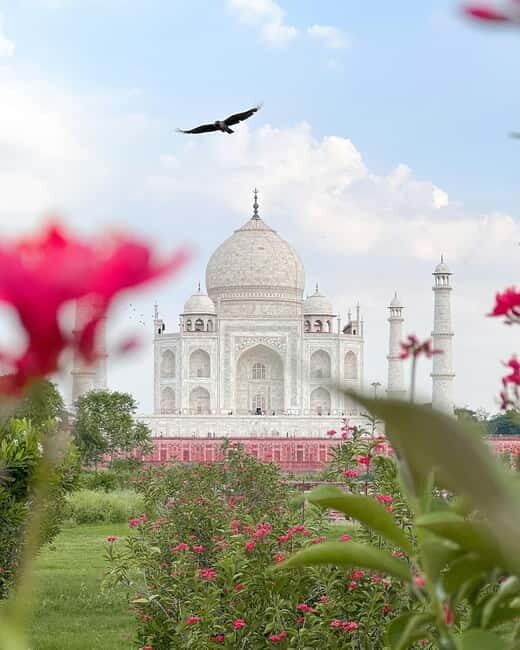 Agra: Skip-The-Line Taj Mahal & Agra Highlights Tour - Why Choose the Skip-The-Line Taj Mahal Tour?