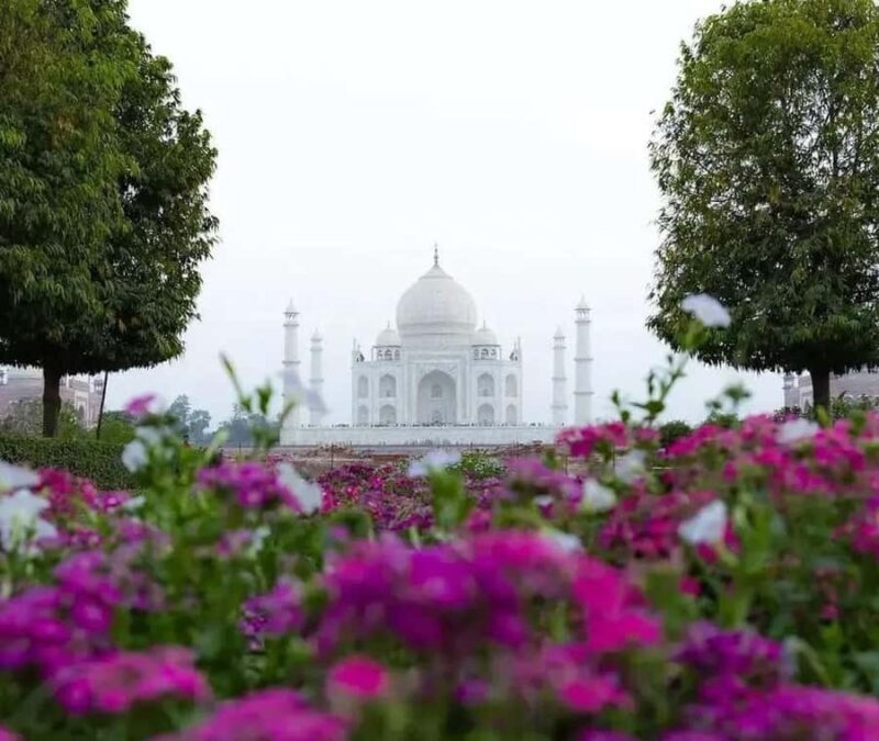 Agra: Skip-the-Line Taj Mahal & Mausoleum Guided Tour - Why This Tour Stands Out