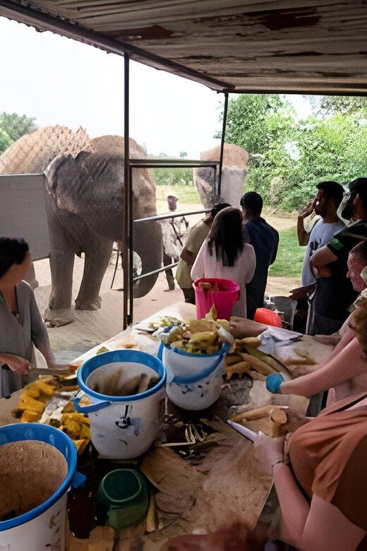 Agra: Taj Mahal, Agra & Elephant SOS Full or Half Day Tour - An In-Depth Look at the Experience