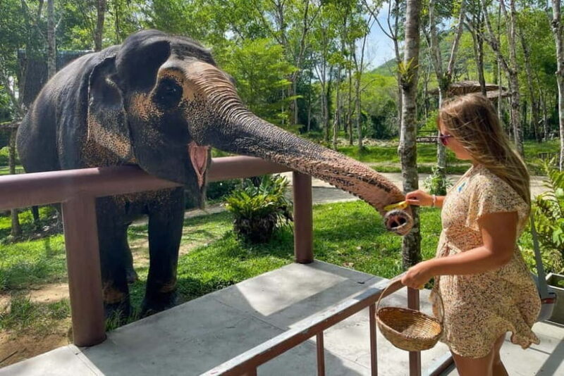 Agra: Taj Mahal, Agra Fort & SOS Wildlife Sanctuary Tour - Who Is This Tour Best For?