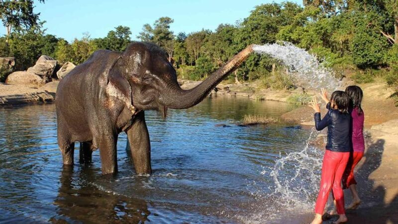 Agra: Taj Mahal, Fort & Elephant Sanctuary Private Tour - FAQ