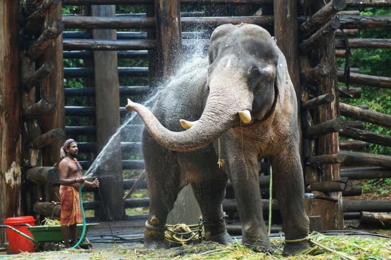 Agra: Taj Mahal Sunrise Tour with Elephant Sanctuary - Final Thoughts: Who Should Consider This Tour?