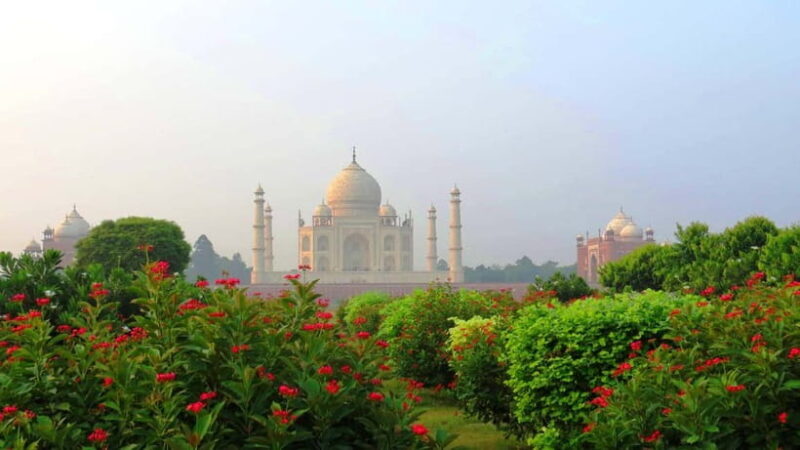 Agra Taj mahal tour with Yoga Meditation Same day - Key Points