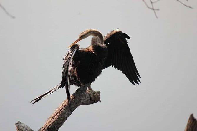 Agra To Bharatpur Same Day Tour with Fatehpur Sikri - An In-Depth Look at the Tour Experience