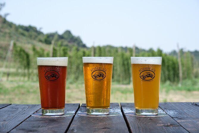 Agricultural Brewery Tour in the Roman Countryside - Practical Details and Logistics