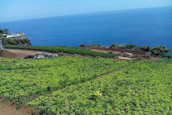 Agriculture Green Tour - FAQ