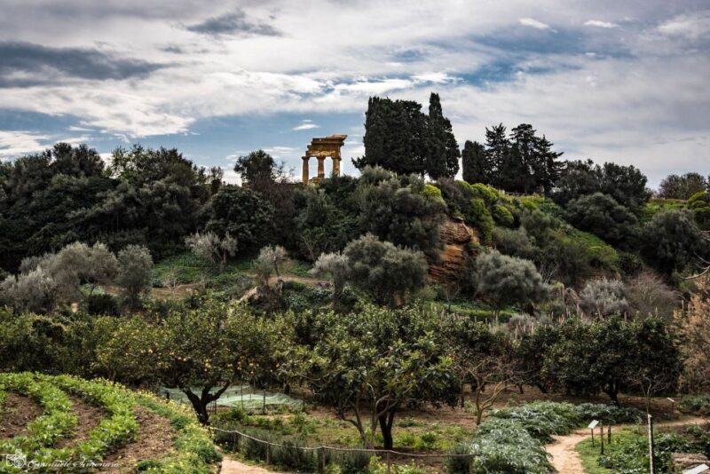 Agrigento Valley of the Temples and Kolymbethra Private Tour - The Garden of Kolymbethra
