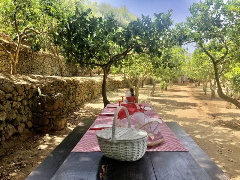 Agrigento: Valley of the Temples Gardens Picnic Experience - Authentic Experience and Cultural Value