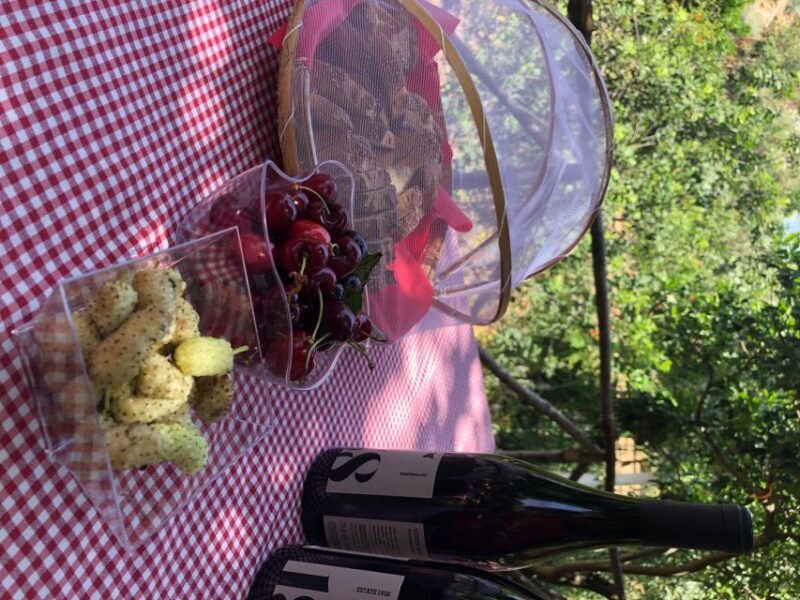 Agrigento: Valley of the Temples Gardens Picnic Experience - Practical Details: Price, Duration, and What’s Included