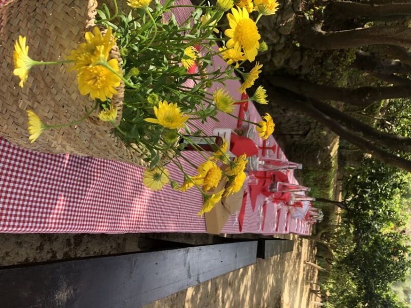 Agrigento: Valley of the Temples Gardens Picnic Experience - The Sum Up: Who Will Love This Experience?