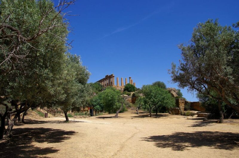 Agrigento: Valley of the Temples Private Archeological Tour - Practical Details and Considerations
