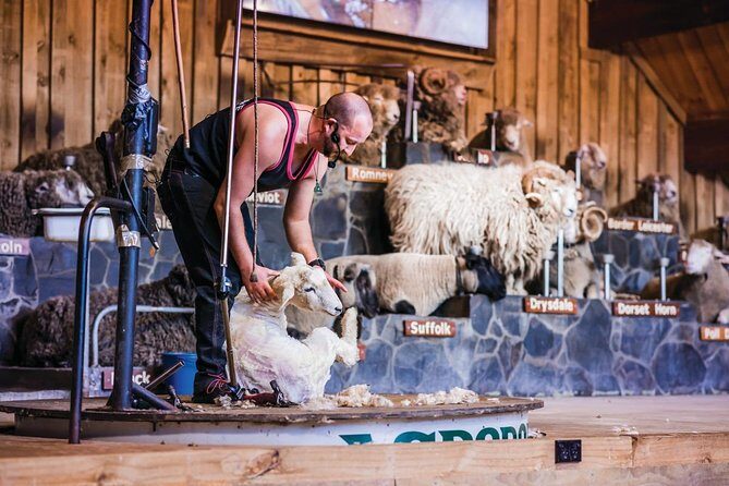 Agrodome Farm Experience including Farm Show and Farm Tour - Rotorua - A Detailed Dive into the Agrodome Experience