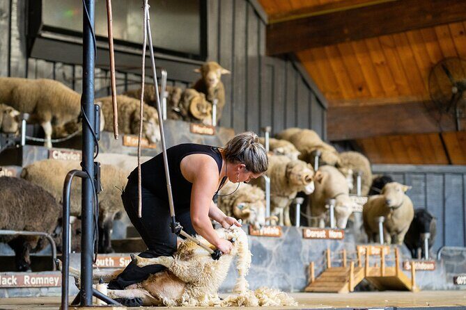 Agrodome Farm Experience including Farm Show and Farm Tour - Rotorua - Who Should Consider This Tour?