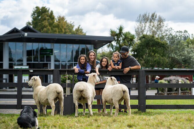 Agrodome Farm Experience including Farm Show and Farm Tour - Rotorua - FAQs: Your Practical Questions Answered