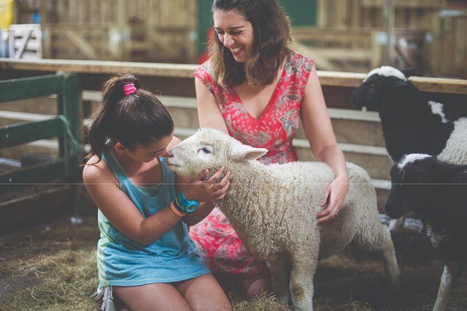 Agrodome Farm Experience including Farm Show and Farm Tour - Rotorua - Final Words