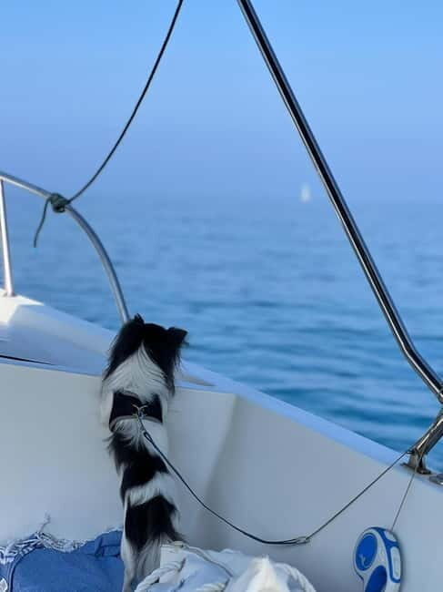 Agropoli: sunset boat tour with aperitif - A Detailed Review of the Agropoli Sunset Boat Tour