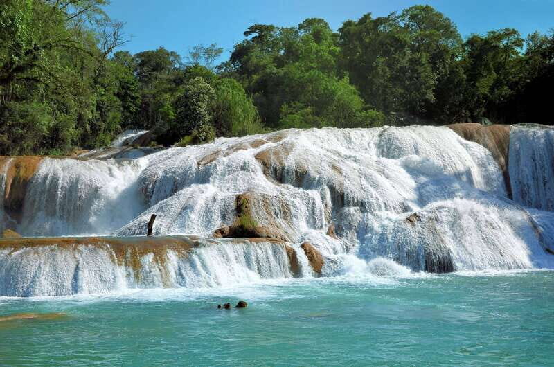 Agua Azul, Misol-Ha & Palenque Ruins from San Cristobal - Key Points