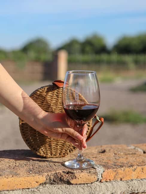 Aguascalientes: Magical Town and Winery Tour - Exploring the Itinerary and Highlights