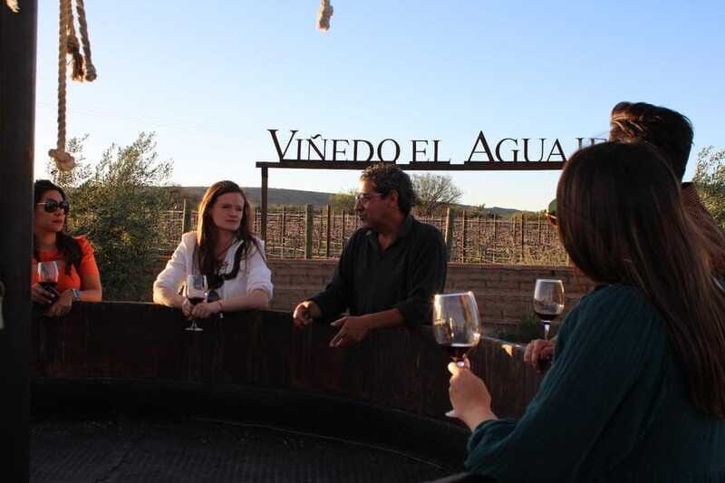 Aguascalientes: Magical Town and Winery Tour - Final Thoughts