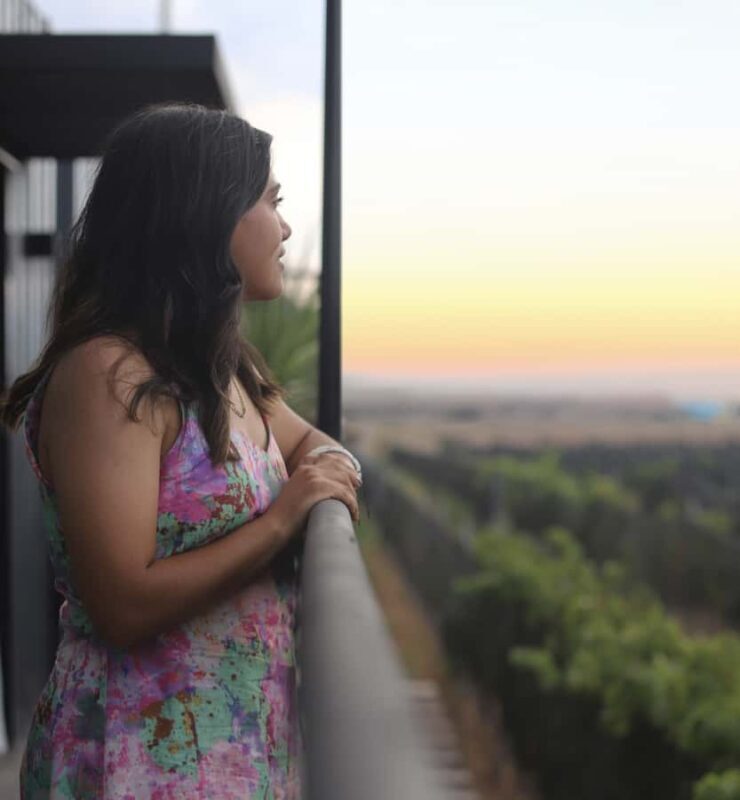 Aguascalientes: Wine Tour - Key Points