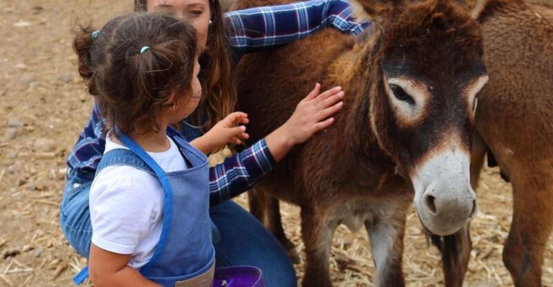 Agüimes : Be a farmer for the day at La Jaira de Ana - A Friendly Guide to La Jaira de Anas Farm Day Experience