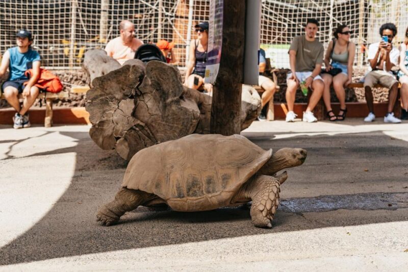 Agüimes: Cocodrilo Park Zoo Entry Ticket - Frequently Asked Questions