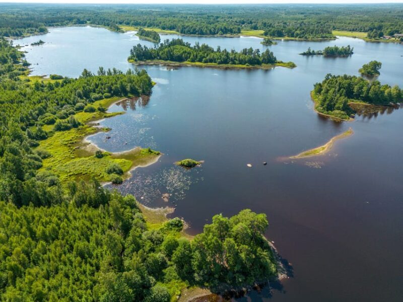 Agunnaryd: Kayak Rental with Life Jacket & Paddle - What to Expect When You Rent and Paddle