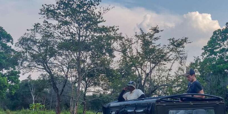 Ahangama: Udawalawe National Park Safari with Hotel Pickup - An Authentic Wildlife Adventure in Sri Lanka