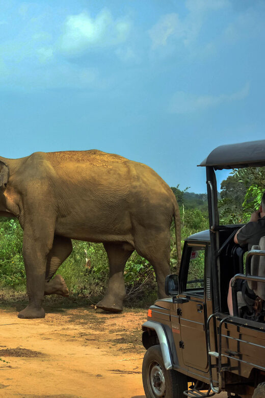 Ahangama: Udawalawe National Park Safari with Hotel Pickup - Who Should Consider This Tour?