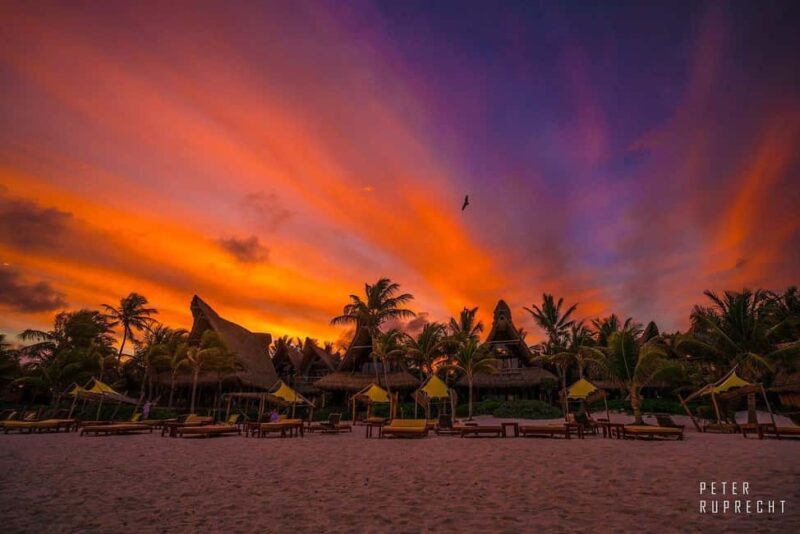 Ahau de Noche: Dinner under the stars and iconic art in Tulum - The Culinary Experience