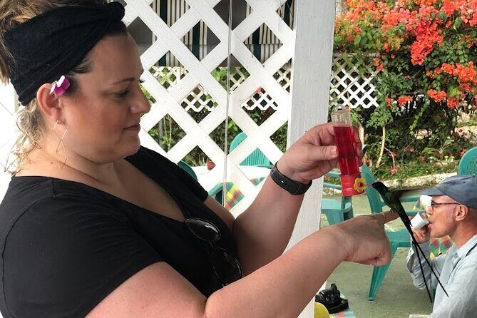 Ahhh Ras Natango Gallery and Garden Private Tour &Transportation - Transportation and Practicalities